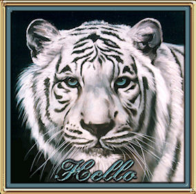 Tiger Hello (in Clipart)
