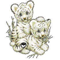 Tigers (in Clipart)
