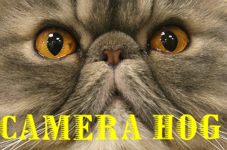 Camera Hog... (in Clipart)