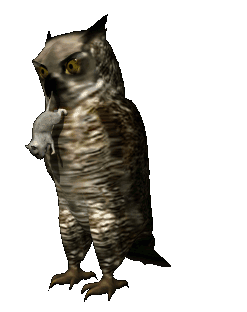 Owl Catching Mouse (in Animated GIFs)