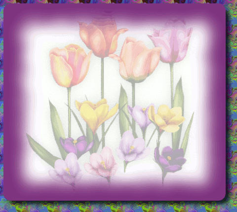 Tulip (in Clipart)