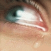 eye (in Stickers)